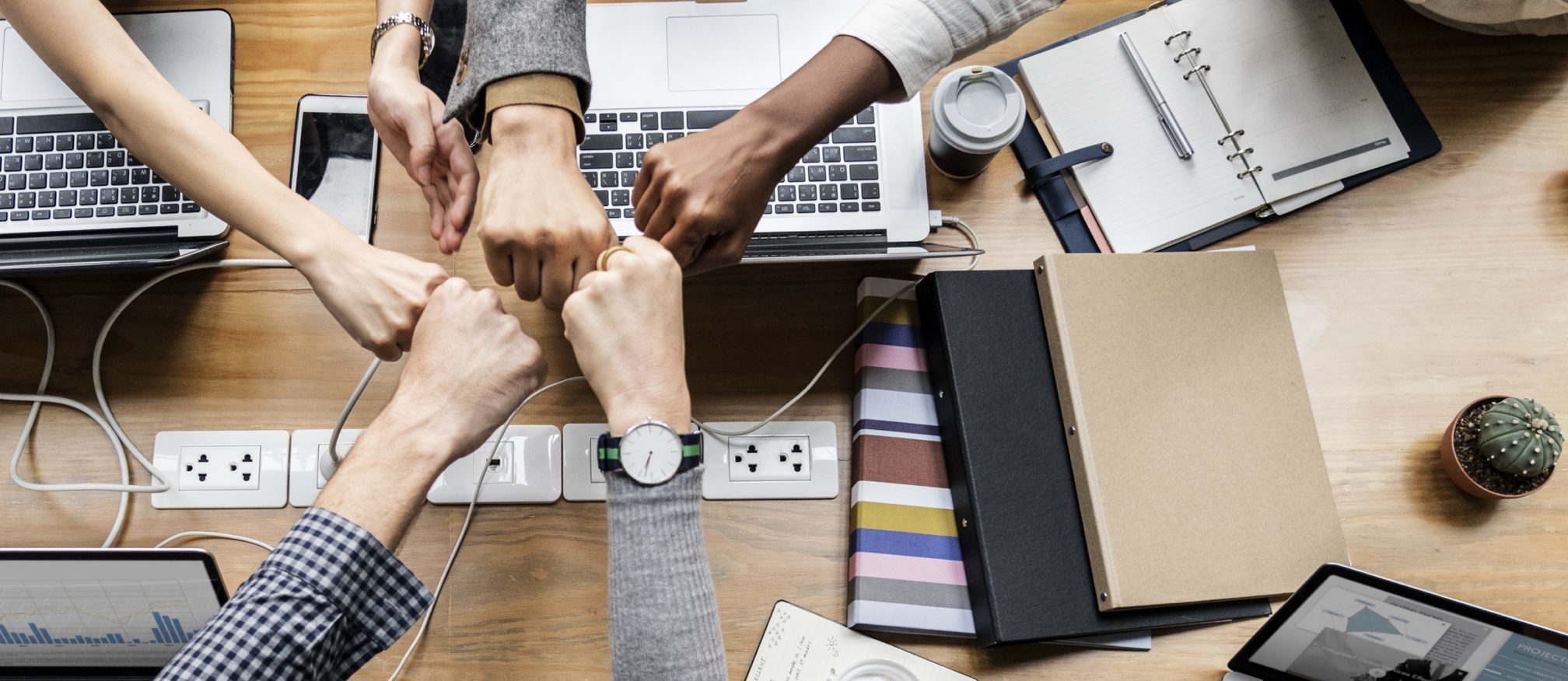 AM Consultants | Evaluation | formation | accompagnement